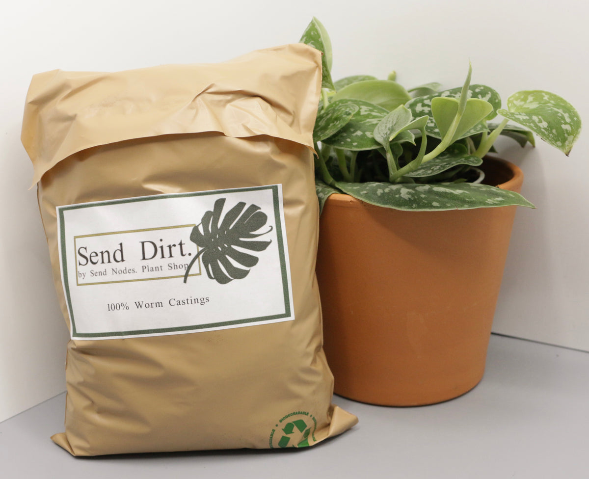 Send Dirt: Worm Castings – Send Nodes Plant Shop
